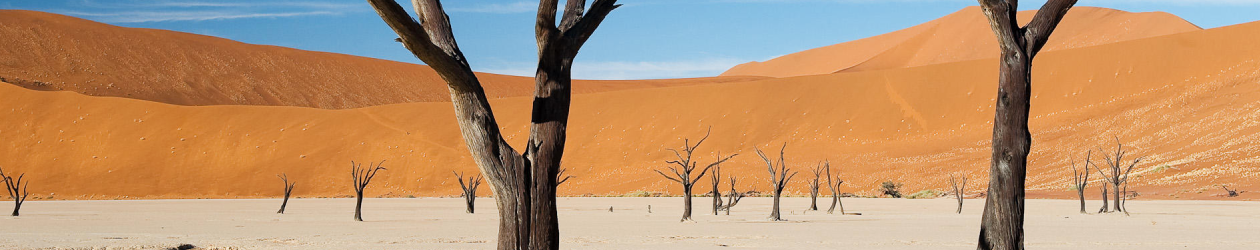 Namibia - Bush 2 City Adventure
